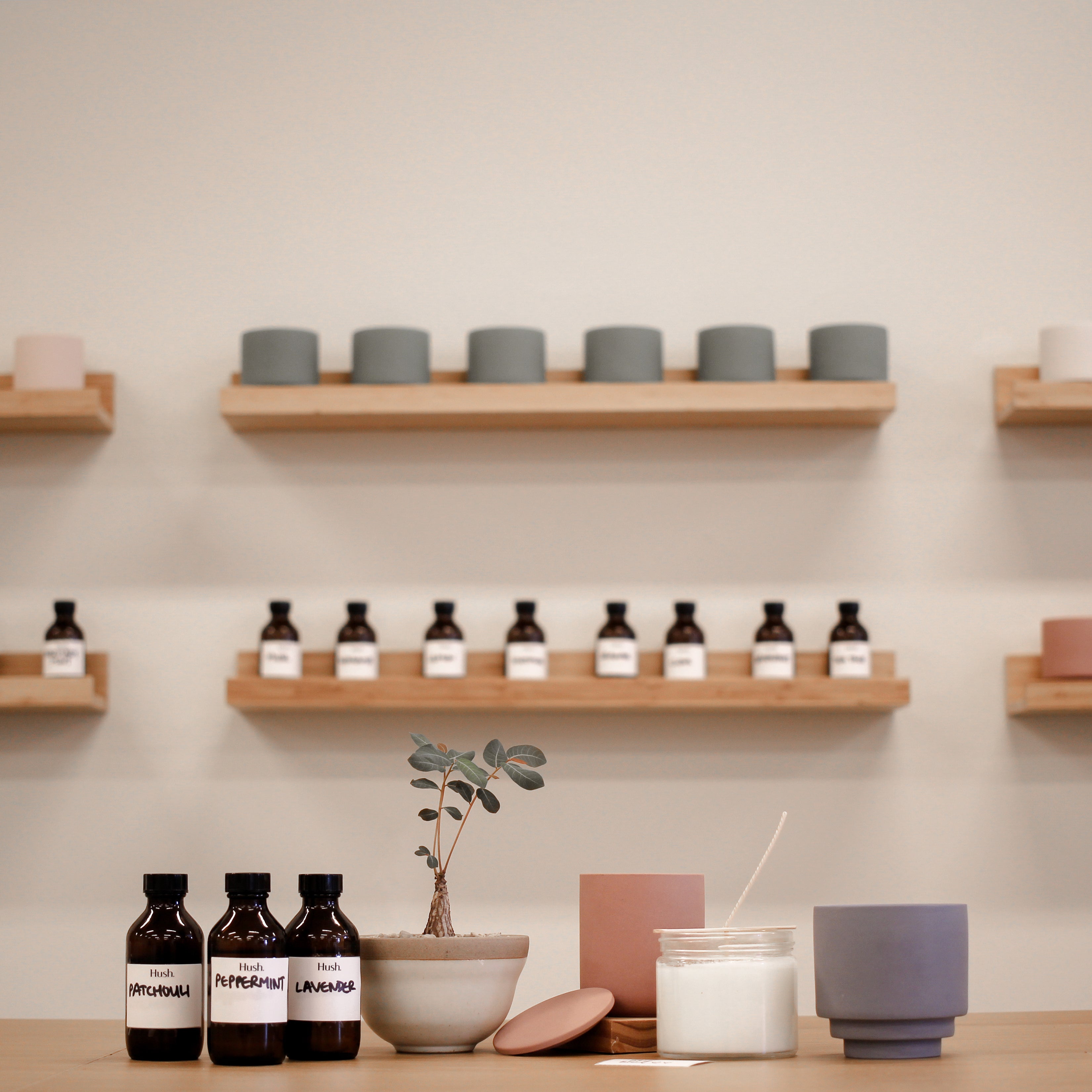 Build-a-Candle Workshop – Hush Candle